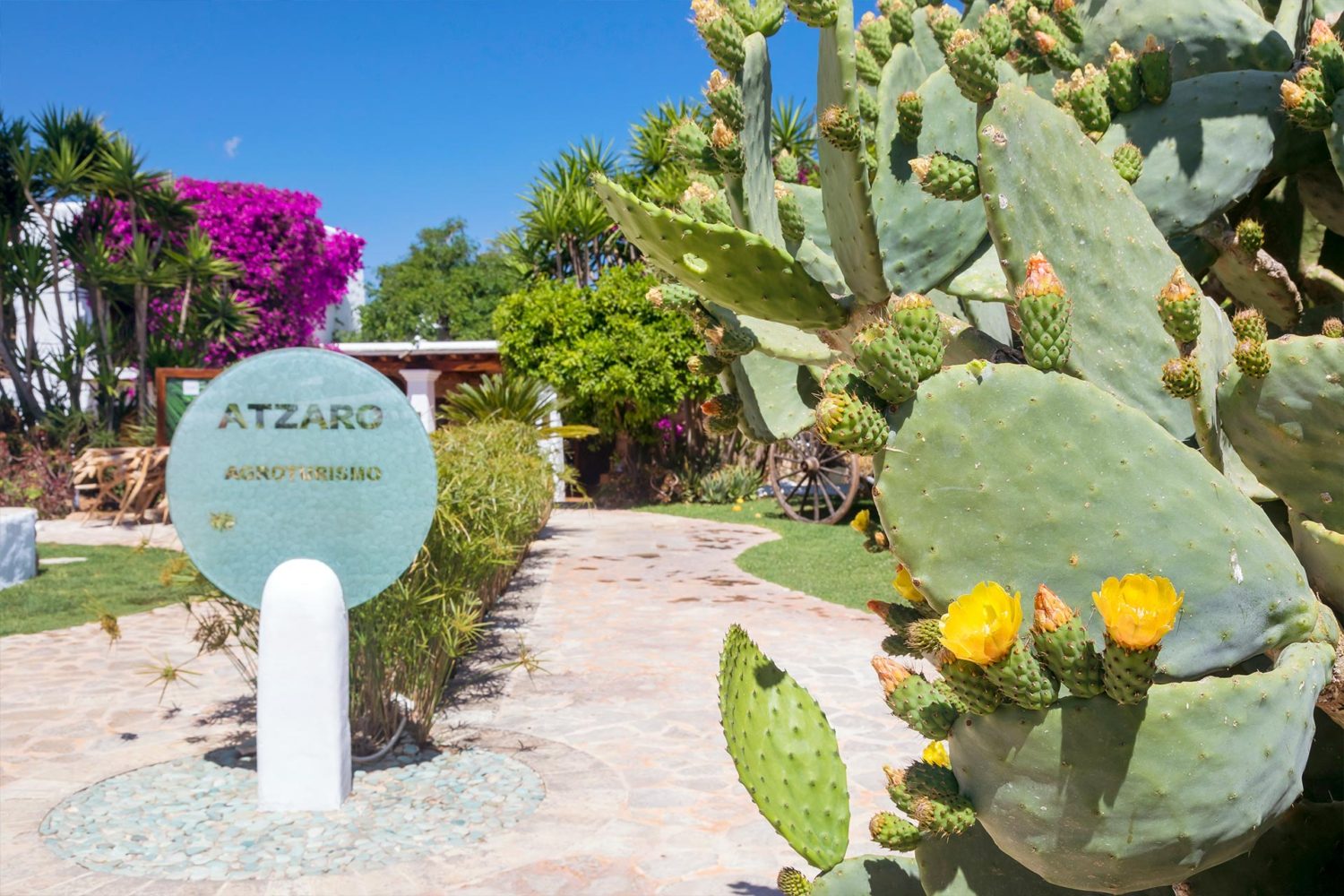 Contact - Atzaró Agroturismo Hotel